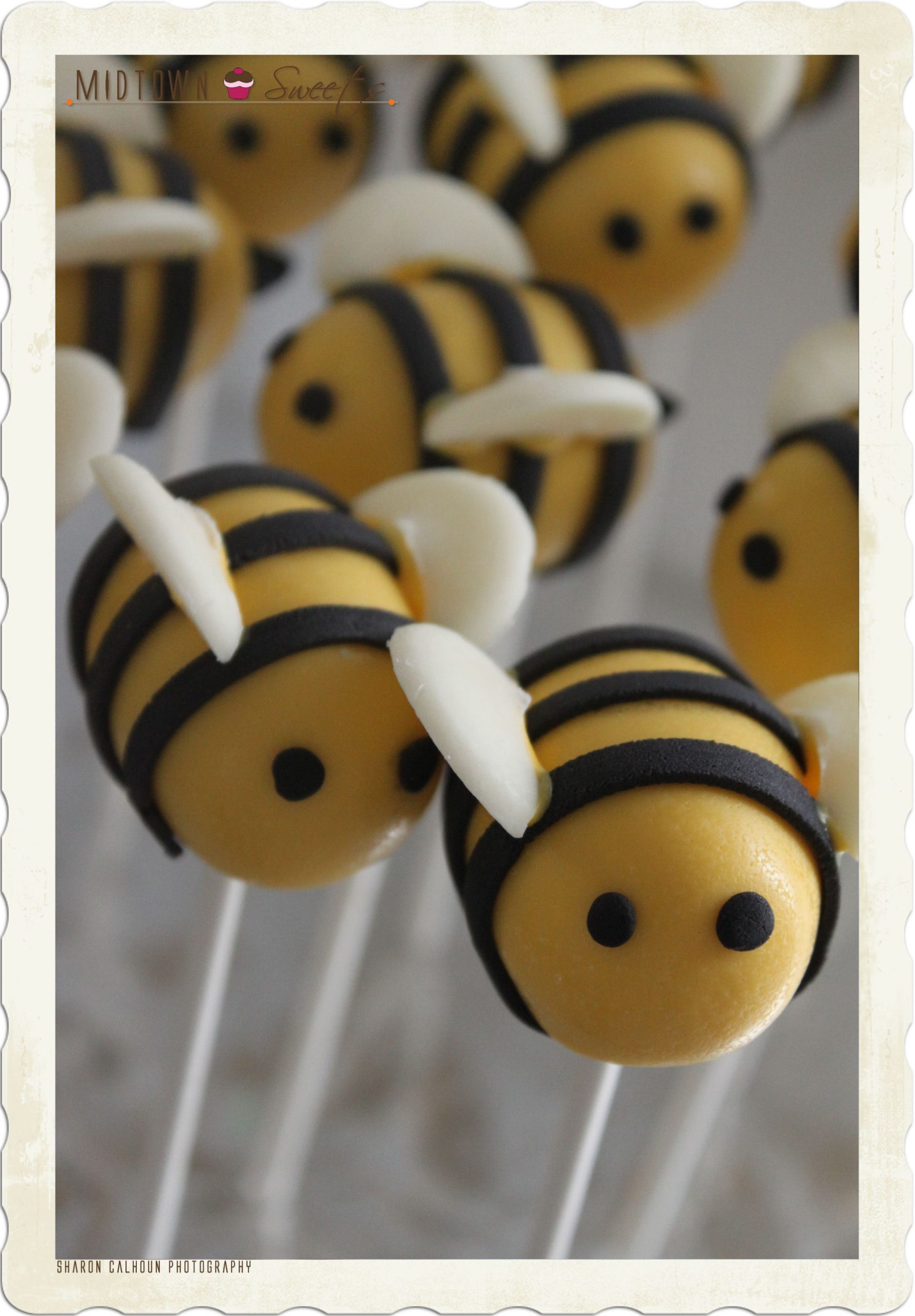 Animals – Midtown Sweets